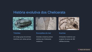 Os-incriveis-Chelicerata.pptx