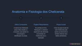 Os-incriveis-Chelicerata.pptx