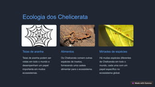 Os-incriveis-Chelicerata.pptx