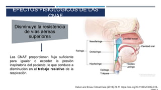 CNAF.pptx