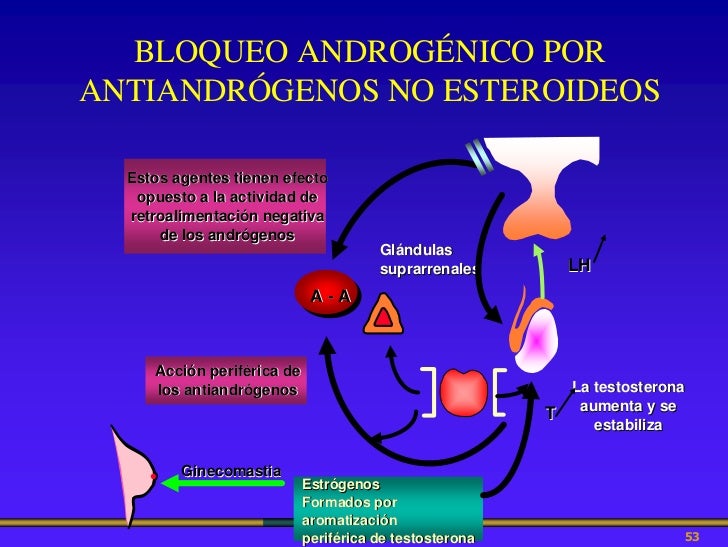 Cáncer De Próstata