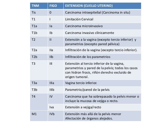 Cáncer cervicouterino en el primer nivel