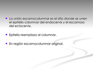 CáNcer Cervico Uterino In Situ E Invasor | PPT
