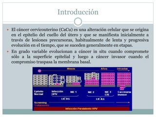 Cáncer Cérvicouterino: Prevención y Tamizaje | PPTX