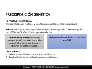 Cáncer de colon, recto y ano | PPTX
