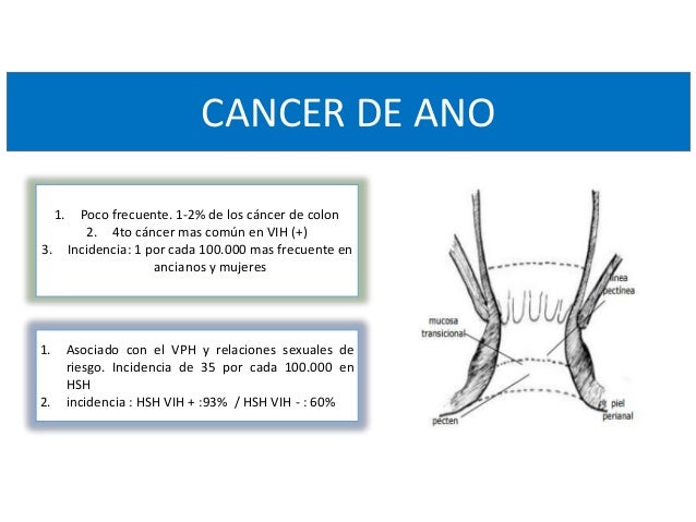 Cáncer de colon, recto y ano