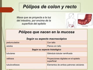 CÁNCER DE COLON Y RECTO | PPTX