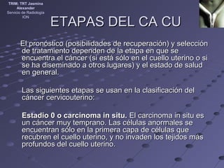Cáncer de cérvix o cuello uterino | PPT