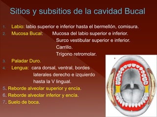 Cáncer de la cavidad bucal.pptx