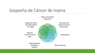 Cáncer de mama Felix.pdf