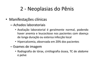 Câncer de pênis | PPTX