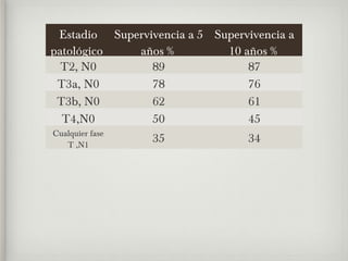 Cáncer de riñón vejiga y próstata | PPT