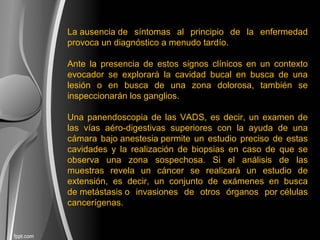 Cáncer de VADS (Vías Aéro Digestivas Superiores). | PPT