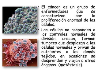 Cáncer y mutación | PPTX