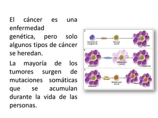 Cáncer y mutación | PPTX
