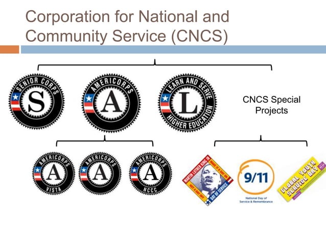 CNCS Structure and the WiCC VISTA Program | PPT