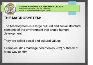 Brofenbrenner Bio/Ecological Theory (02 K12_HOTS Generic) | PPT