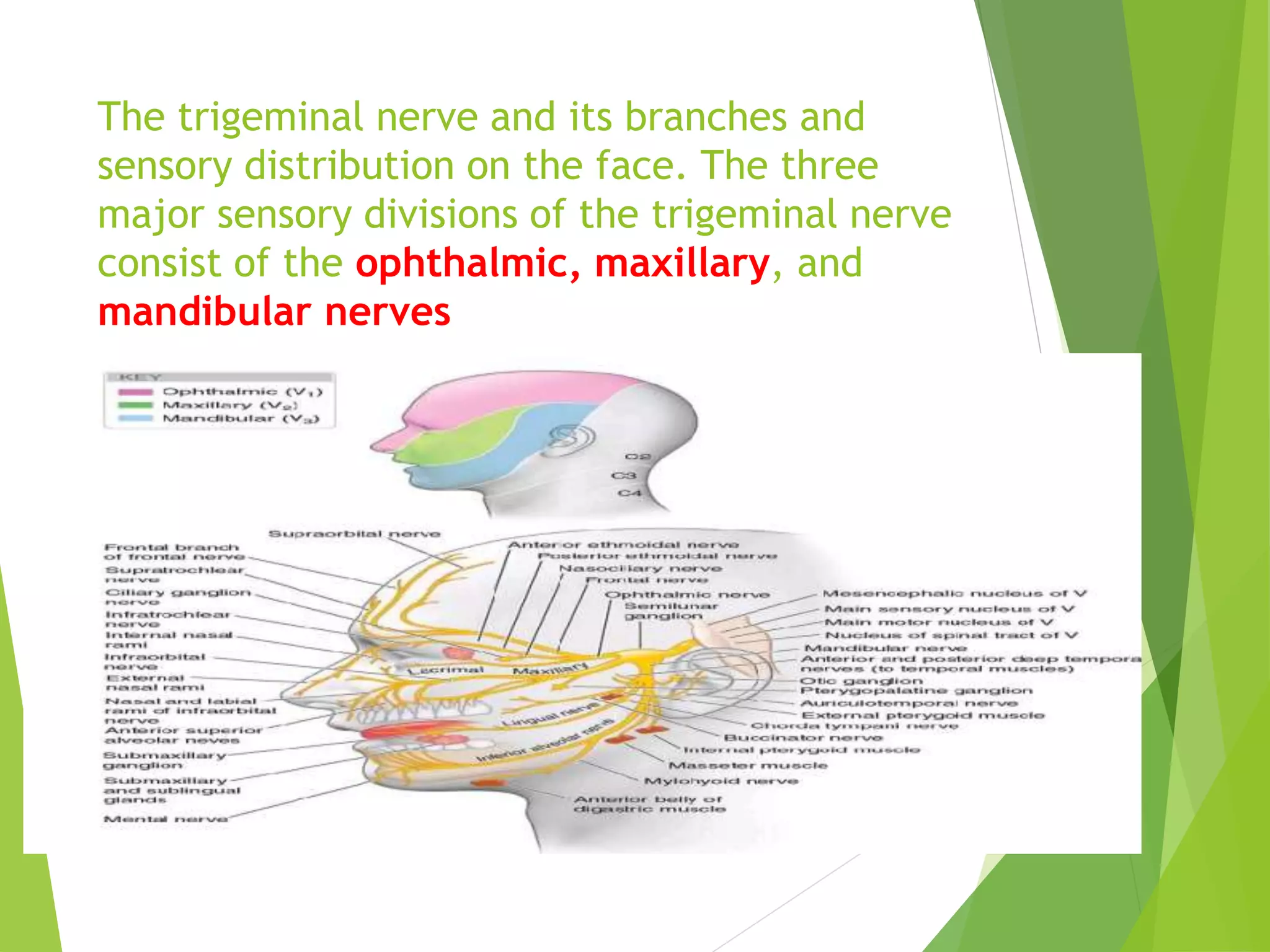 CN disorder - Copy.ppt