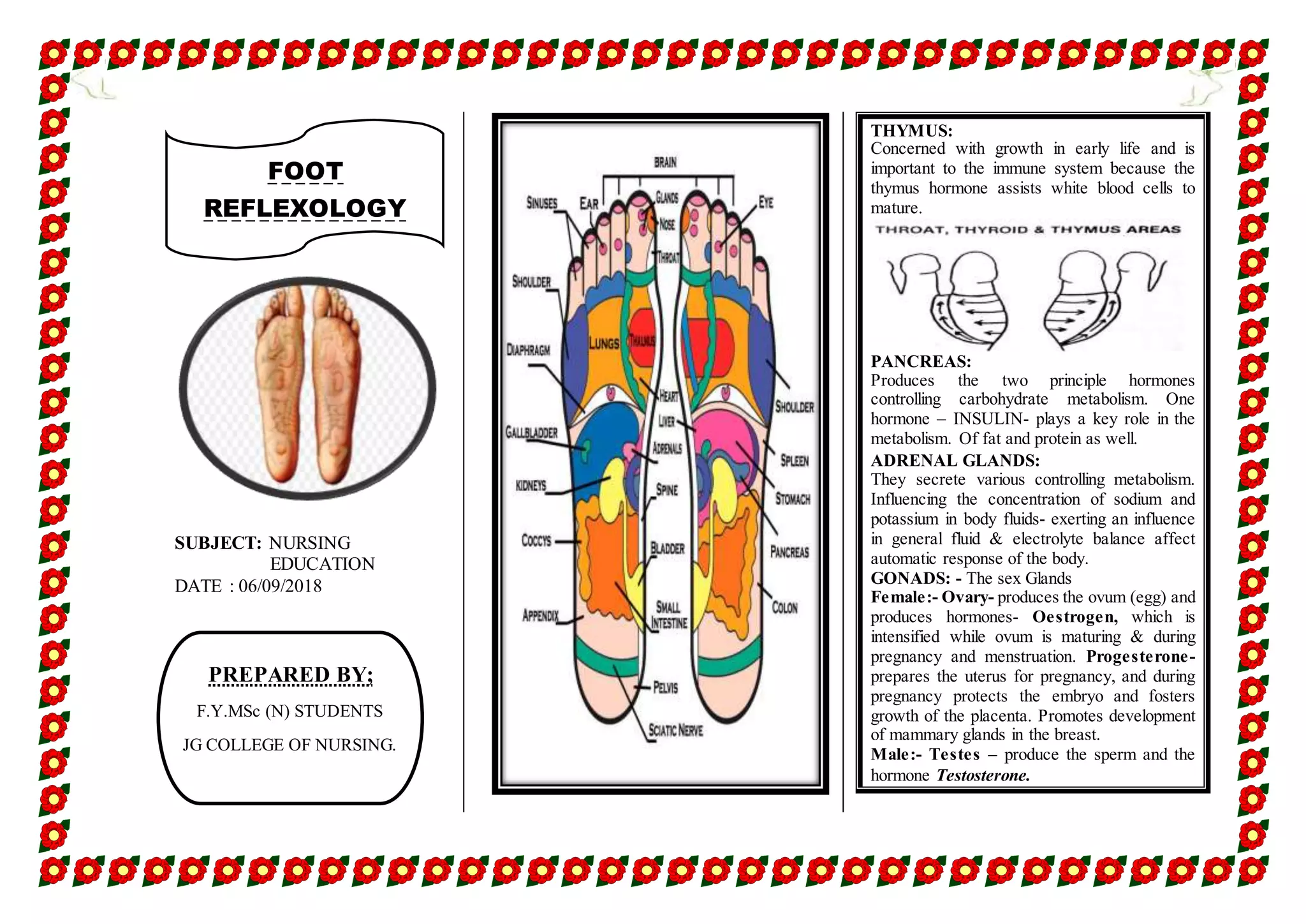 Foot Reflexology Leaflet | DOCX