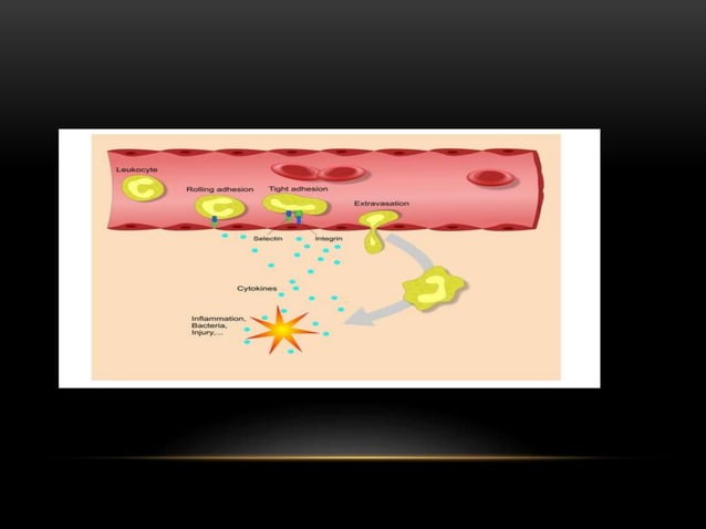 Leukocyte adhesion deficiency | PPTX | Blood Disorders | Diseases and ...