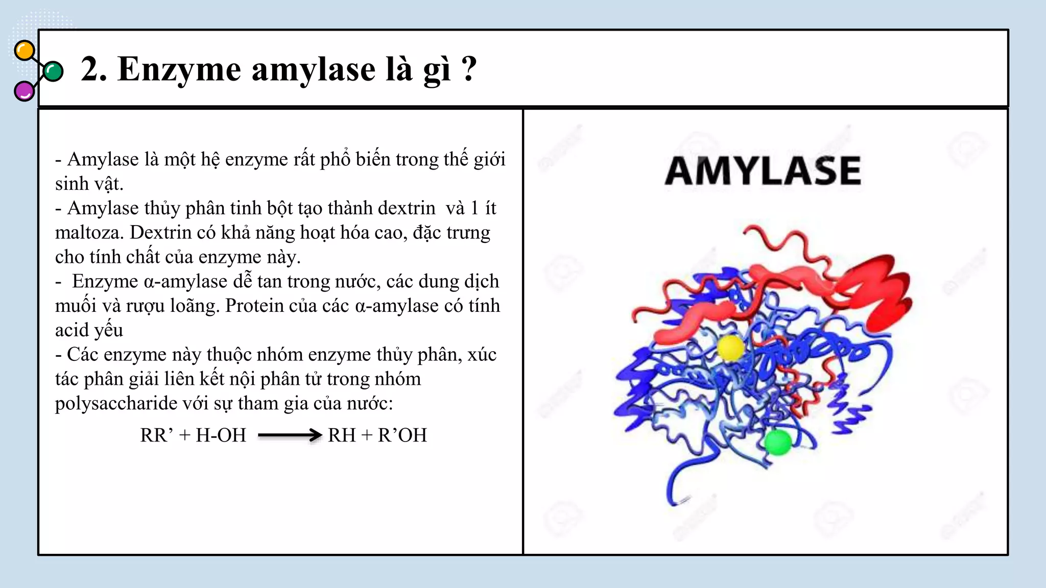 CN Enzyme_ nhóm 04_NMH02.pptx
