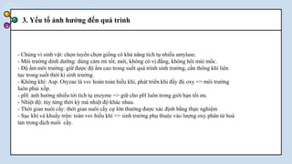 CN Enzyme_ nhóm 04_NMH02.pptx
