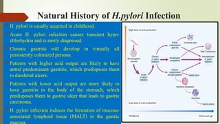 CNE PPT Nursing Perspective-Management of H.Pylori Infection_e67b7626 ...