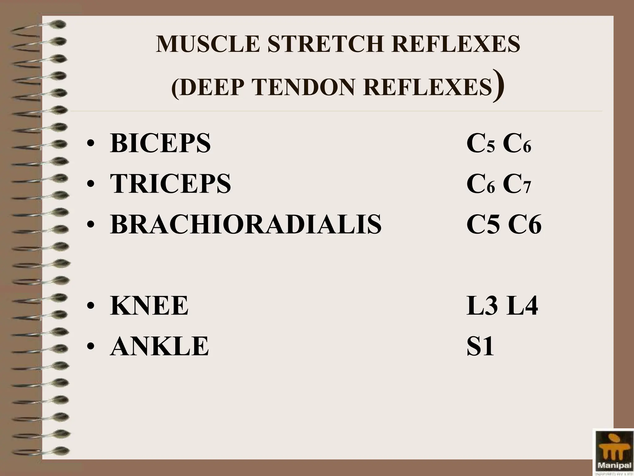 Neurological examination final mbbs m.pptx