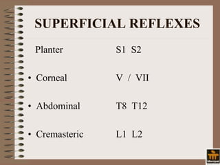 Neurological examination final mbbs m.pptx