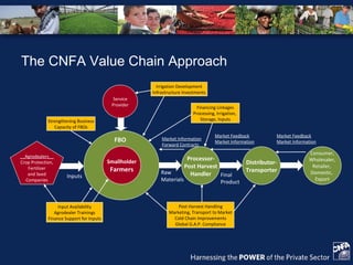 CNFA Introductory Presentation | PPT | Agriculture | Industries