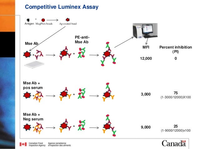 OS16 - 4.P4.b Competitive Luminex Immunoassays for the Detection of…