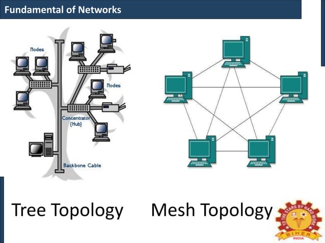 Cn fundamentals of networks | PPT