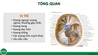 Dò động tĩnh mạch màng cứng.pptx
