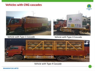 CNG NETWORK PPT.pdf