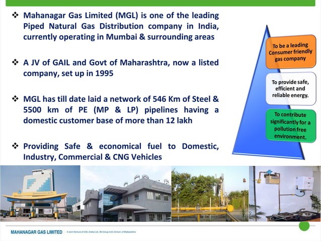 CNG NETWORK PPT.pdf | Commodities | Economy