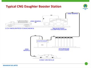 CNG NETWORK PPT.pdf