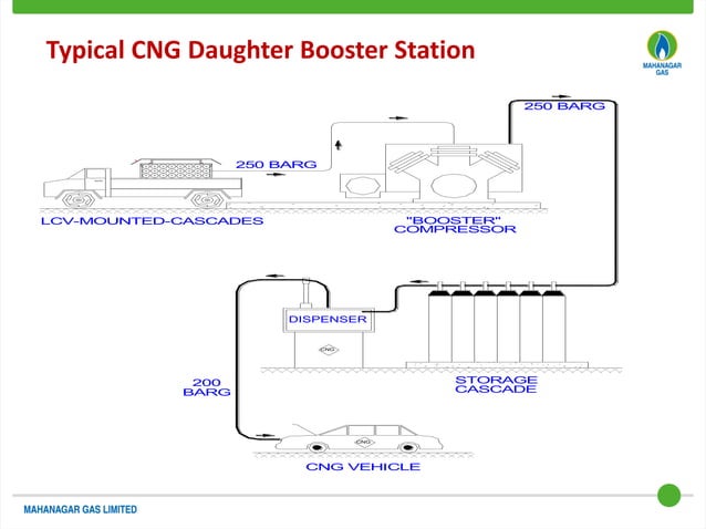 CNG NETWORK PPT.pdf | Commodities | Economy