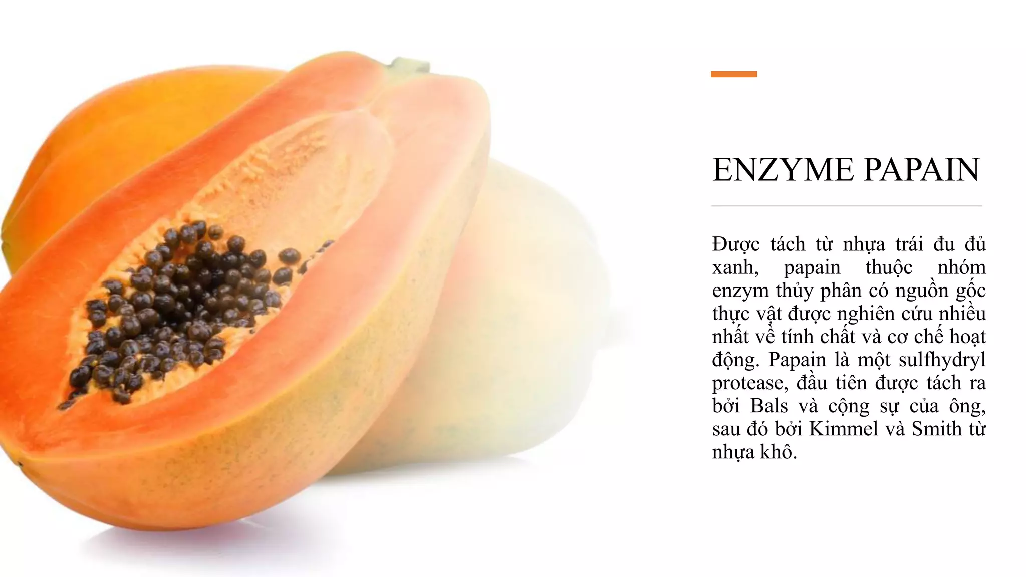 CÔNG NGHỆ ENZYME- THU NHẬN ENZYME TỪ THỰC VẬT.pptx