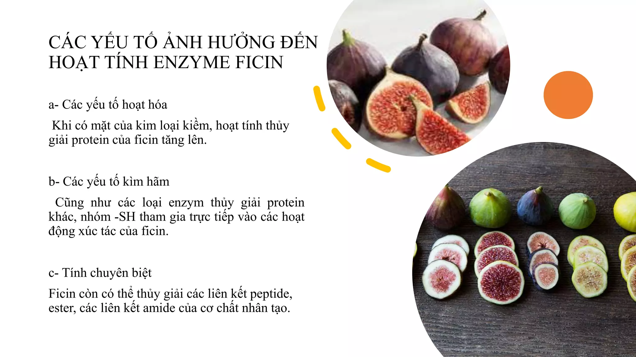 CÔNG NGHỆ ENZYME- THU NHẬN ENZYME TỪ THỰC VẬT.pptx