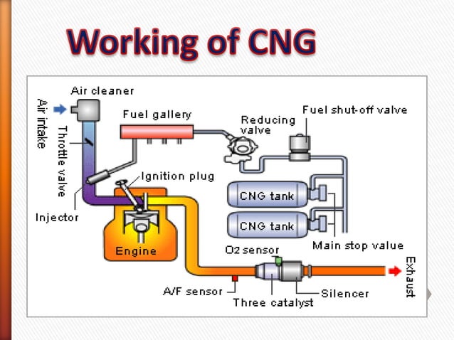 Cng ppt