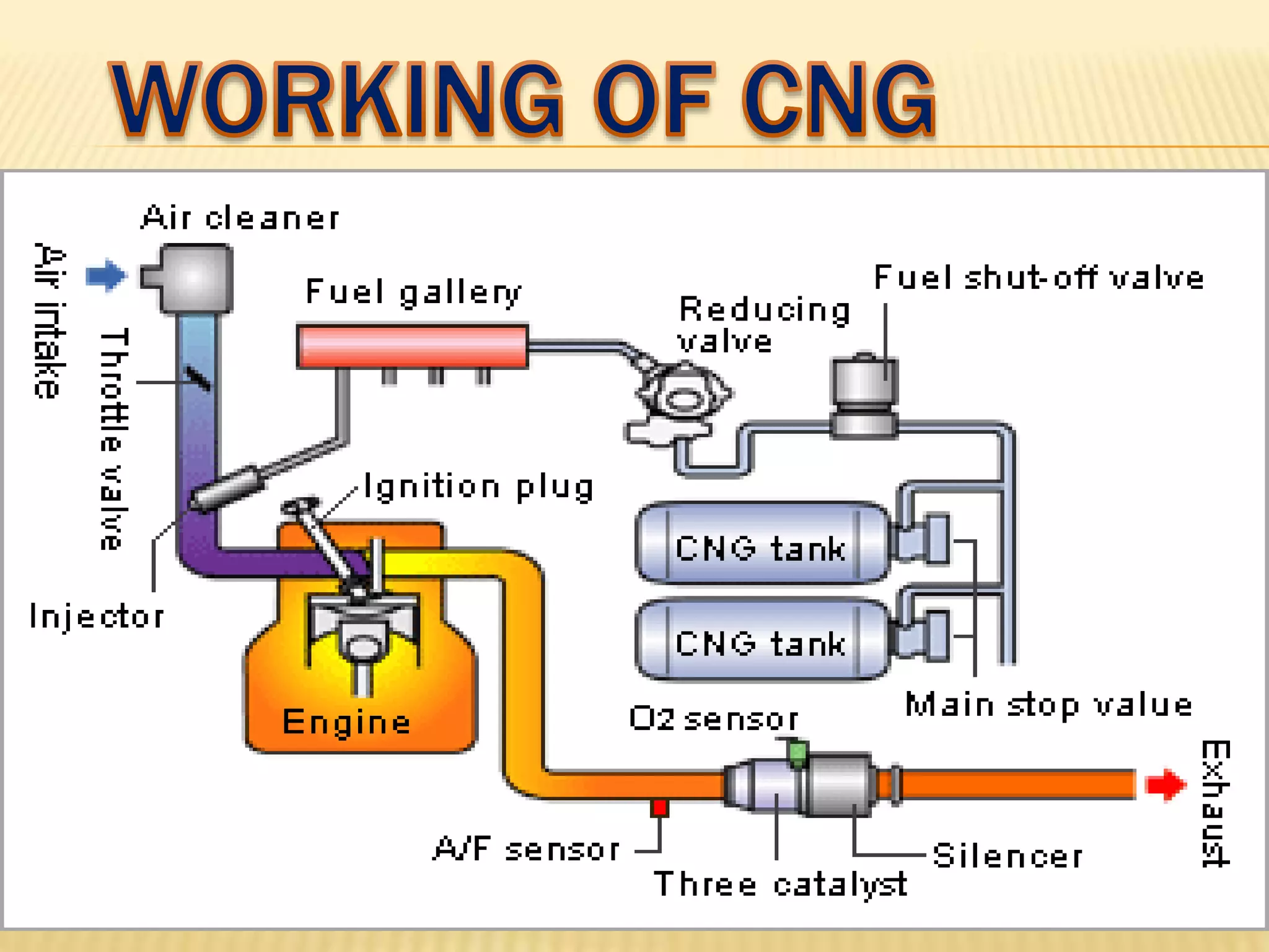 Cng ppt | PPTX