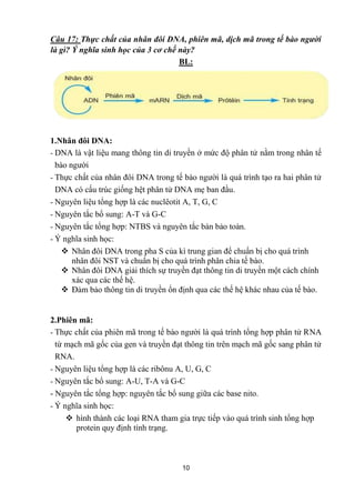 Đề Cương Sinh v.2.docx