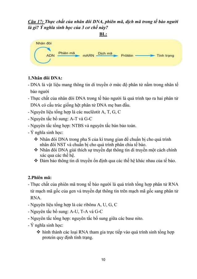 Đề Cương Sinh v.2.docx