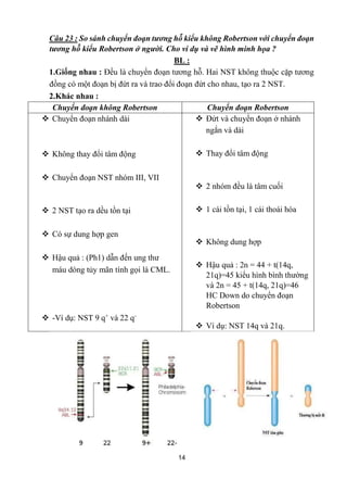 Đề Cương Sinh v.2.docx