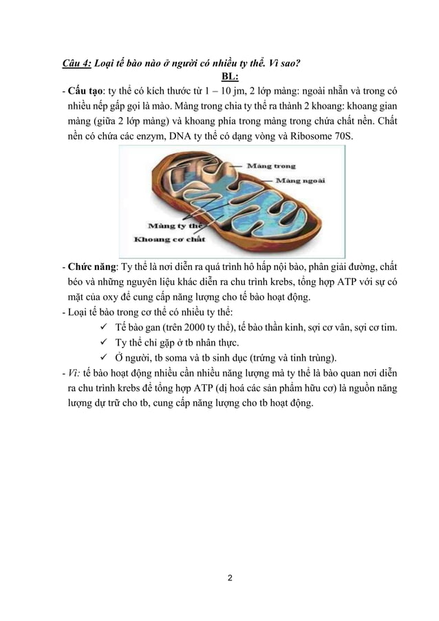 Đề Cương Sinh v.2.docx