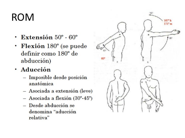 Flexion Y Extension De Hombro