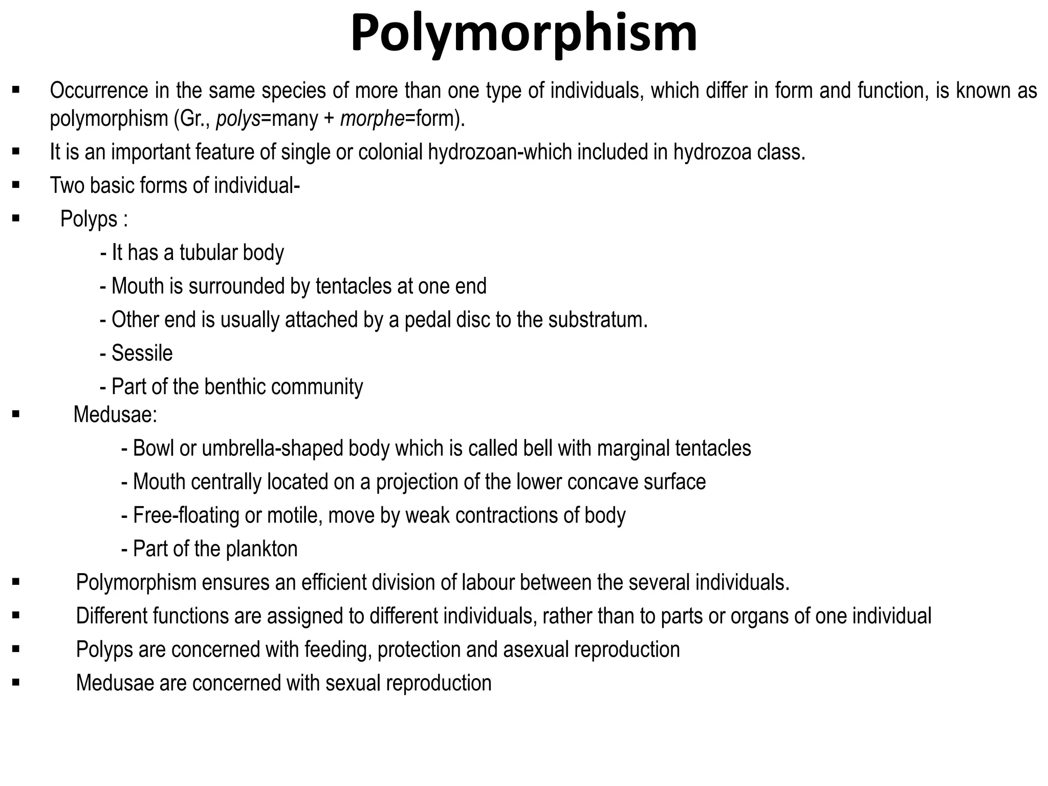 Cnidaria phylum | PDF