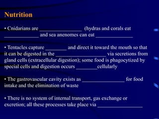 Cnidaria.ppt