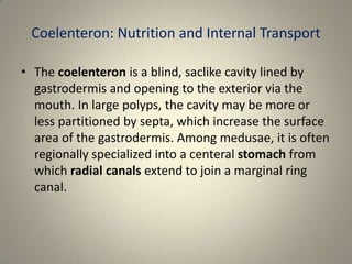 Cnidaria gen features -2012 | PPTX | Biological Sciences | Science