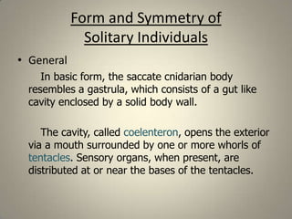 Cnidaria gen features -2012 | PPTX | Biological Sciences | Science